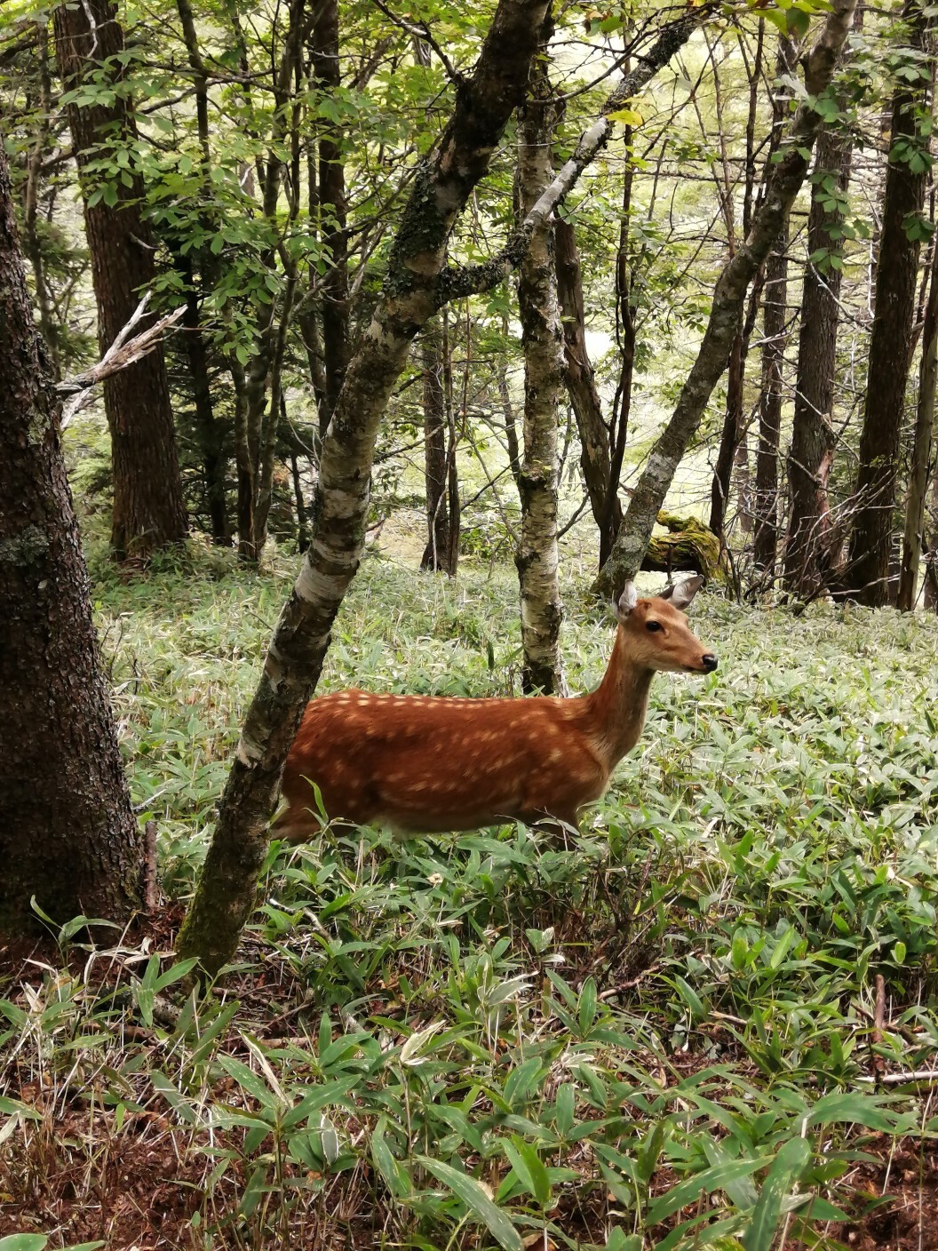2021.08.29(日) 09:29 / Jordiさんのモーメント | YAMAP / ヤマップ