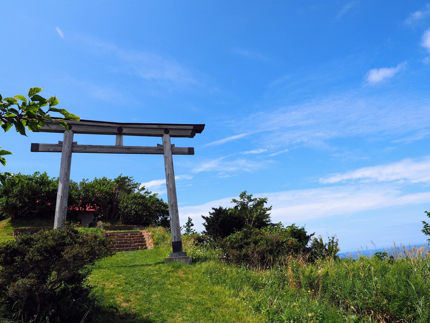 ホワイトさんのレポ見て夷王山⛰️ / rucolaさんの茂刈山の活動日記 | YAMAP / ヤマップ