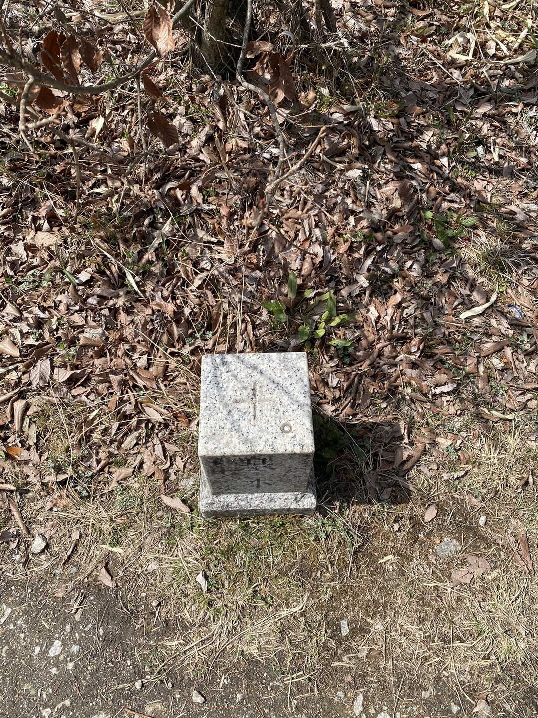 銀峰・二上山（雄岳）・二上山(雌岳) / Harukiさんの金剛山・二上山・大和葛城山の活動データ | YAMAP / ヤマップ