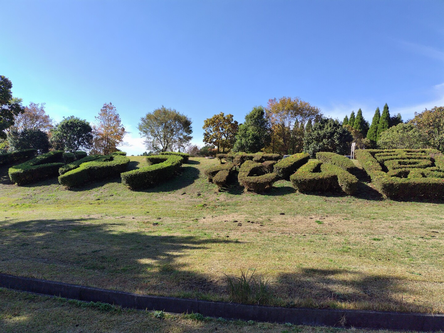 11-11下見）竹田W久住高原北滝ロマン街道 / Andyさんのウォーキングの活動データ | YAMAP / ヤマップ