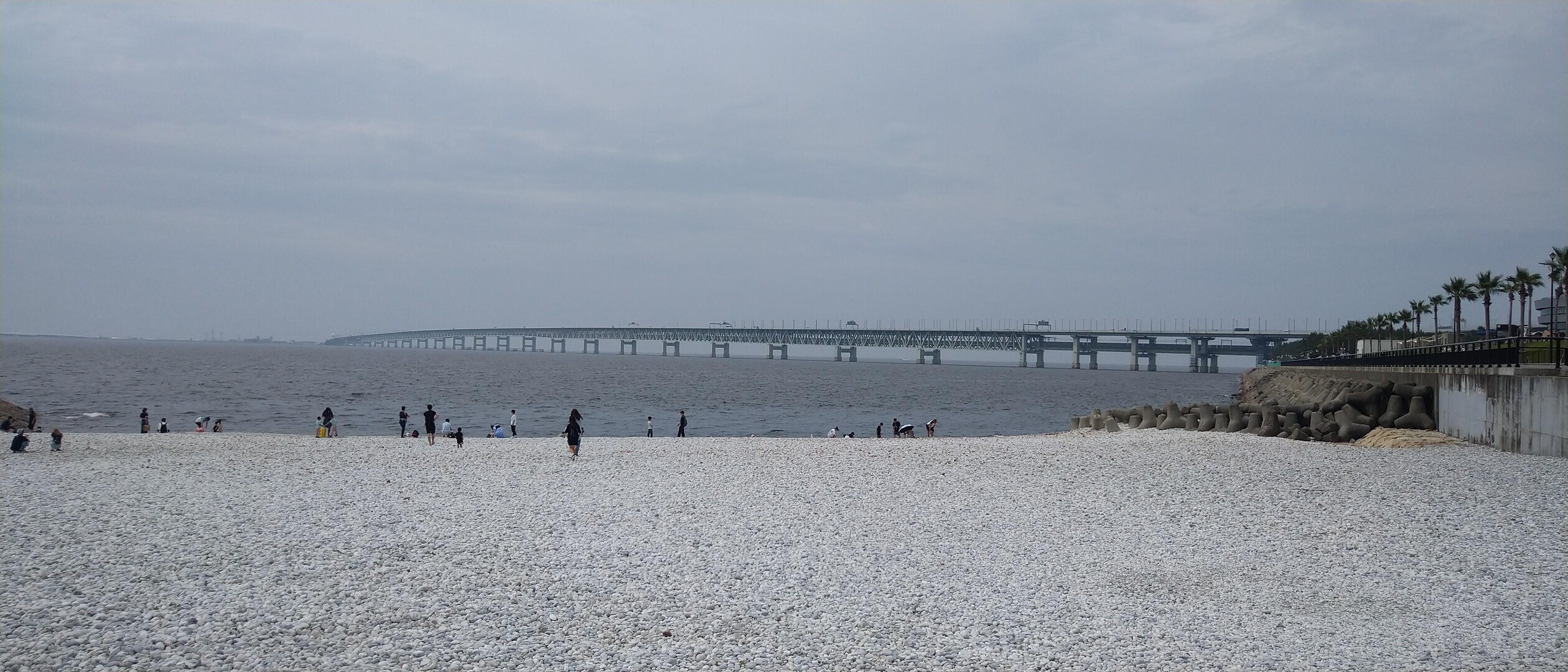 岸和田駅→尾崎駅 / J.Majimaさんのウォーキングの活動データ | YAMAP / ヤマップ