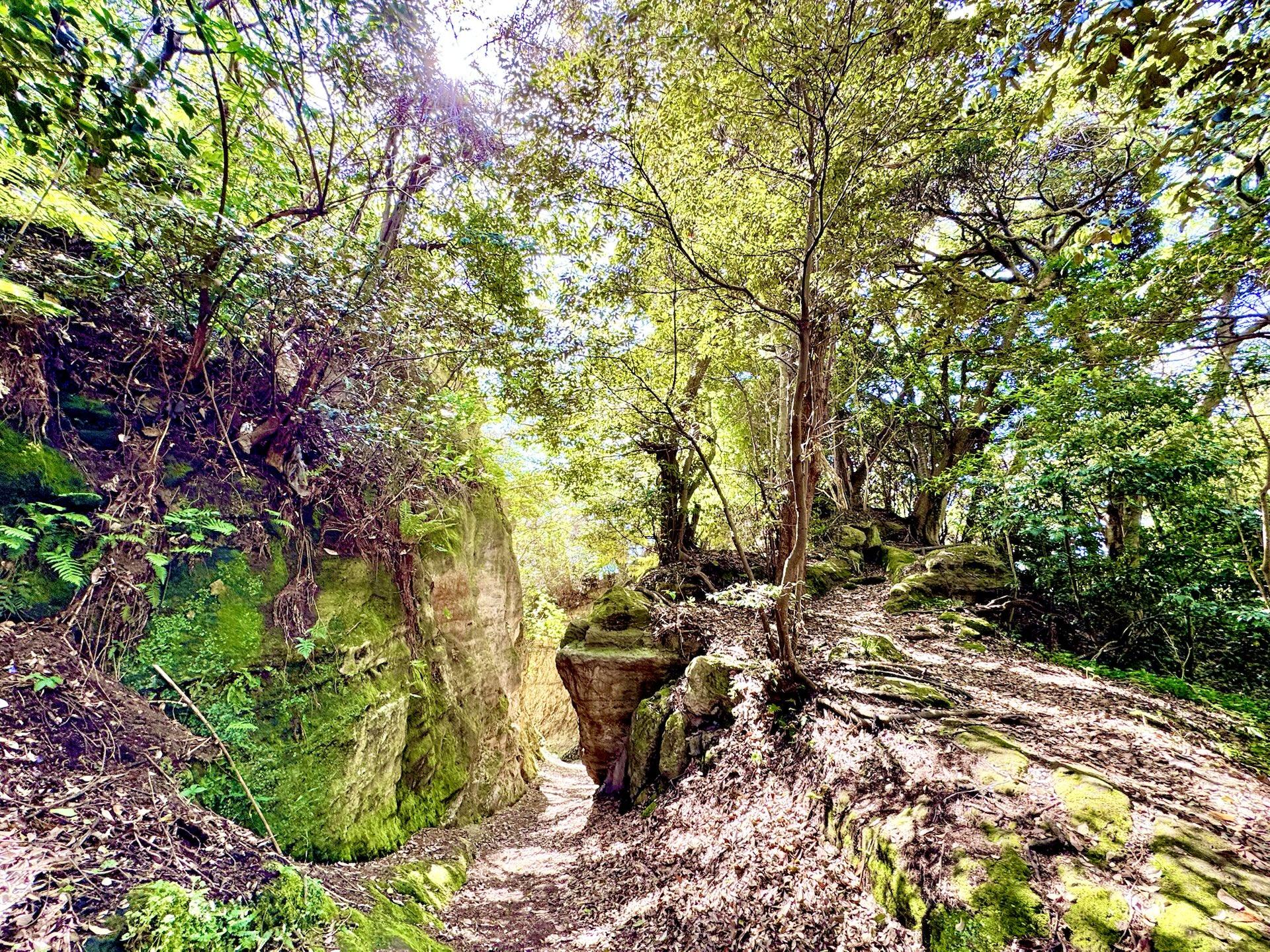 【名越切通】 鎌倉七口のひとつとして数え... / Ryuさんのモーメント | YAMAP / ヤマップ