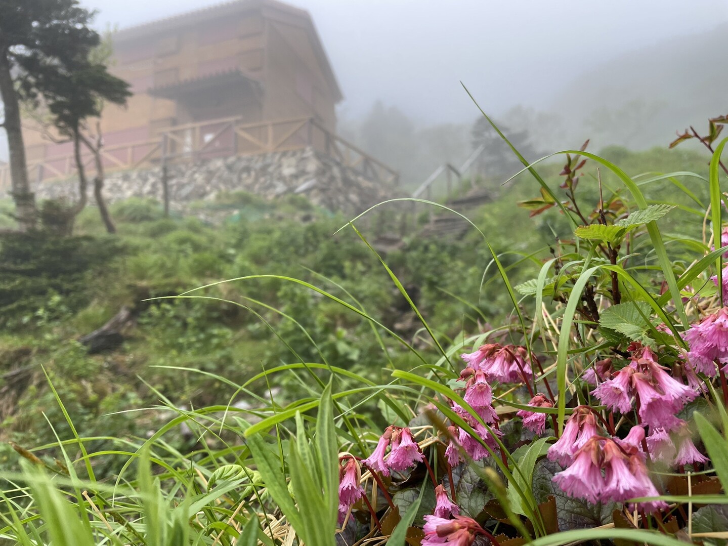茶臼岳 / nk-poohさんの聖岳・大沢岳・光岳の活動データ | YAMAP / ヤマップ