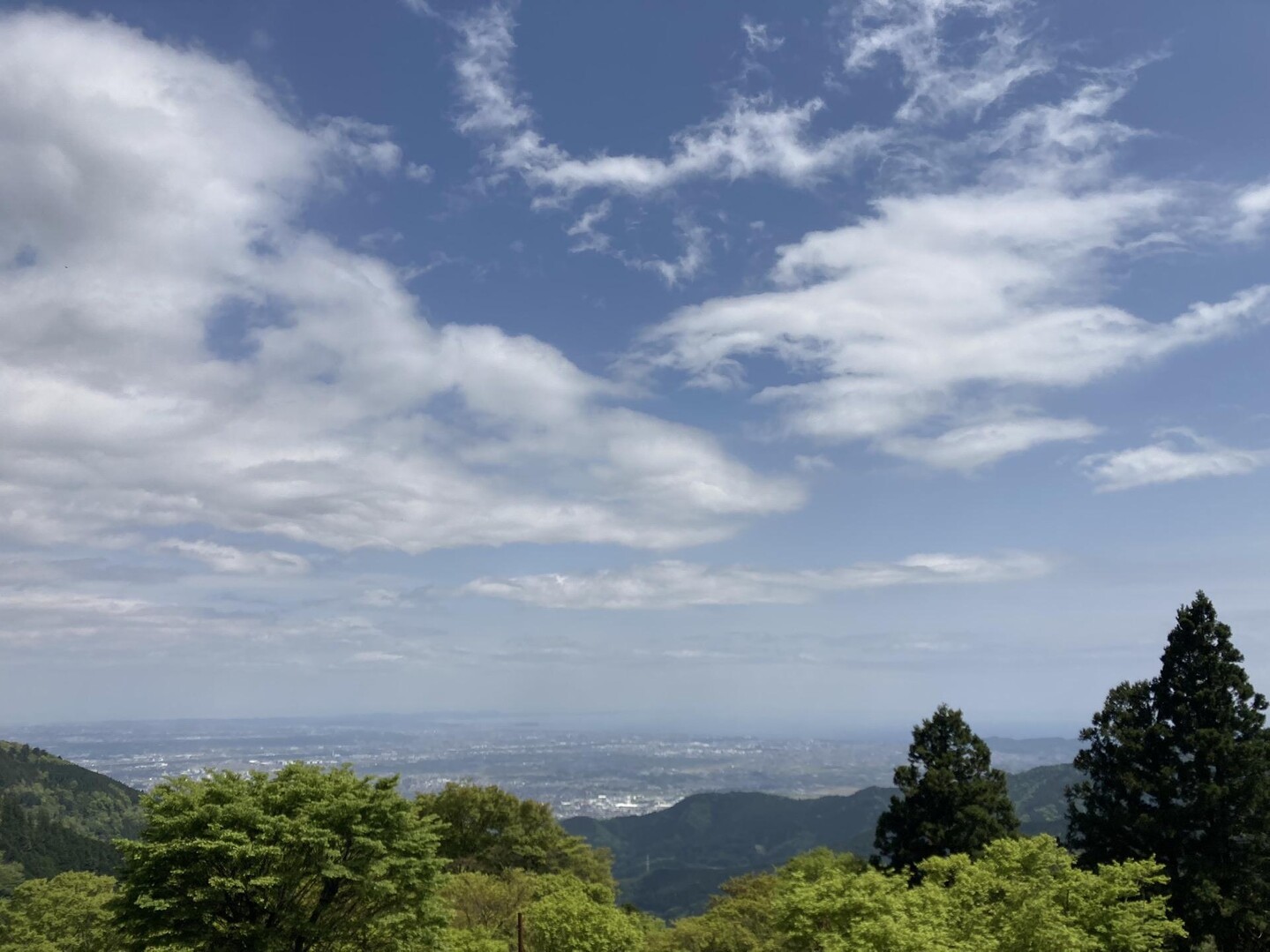 大山へようこそ🌿 / renaさんの丹沢山の活動データ | YAMAP / ヤマップ