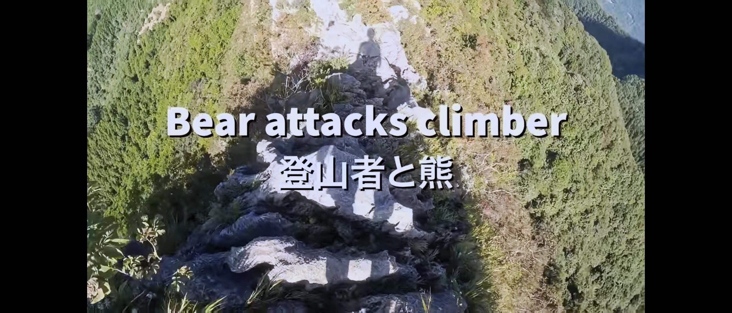 とりあえず見てみて下さいな Twitt... / G-Mikiさんのモーメント | YAMAP / ヤマップ