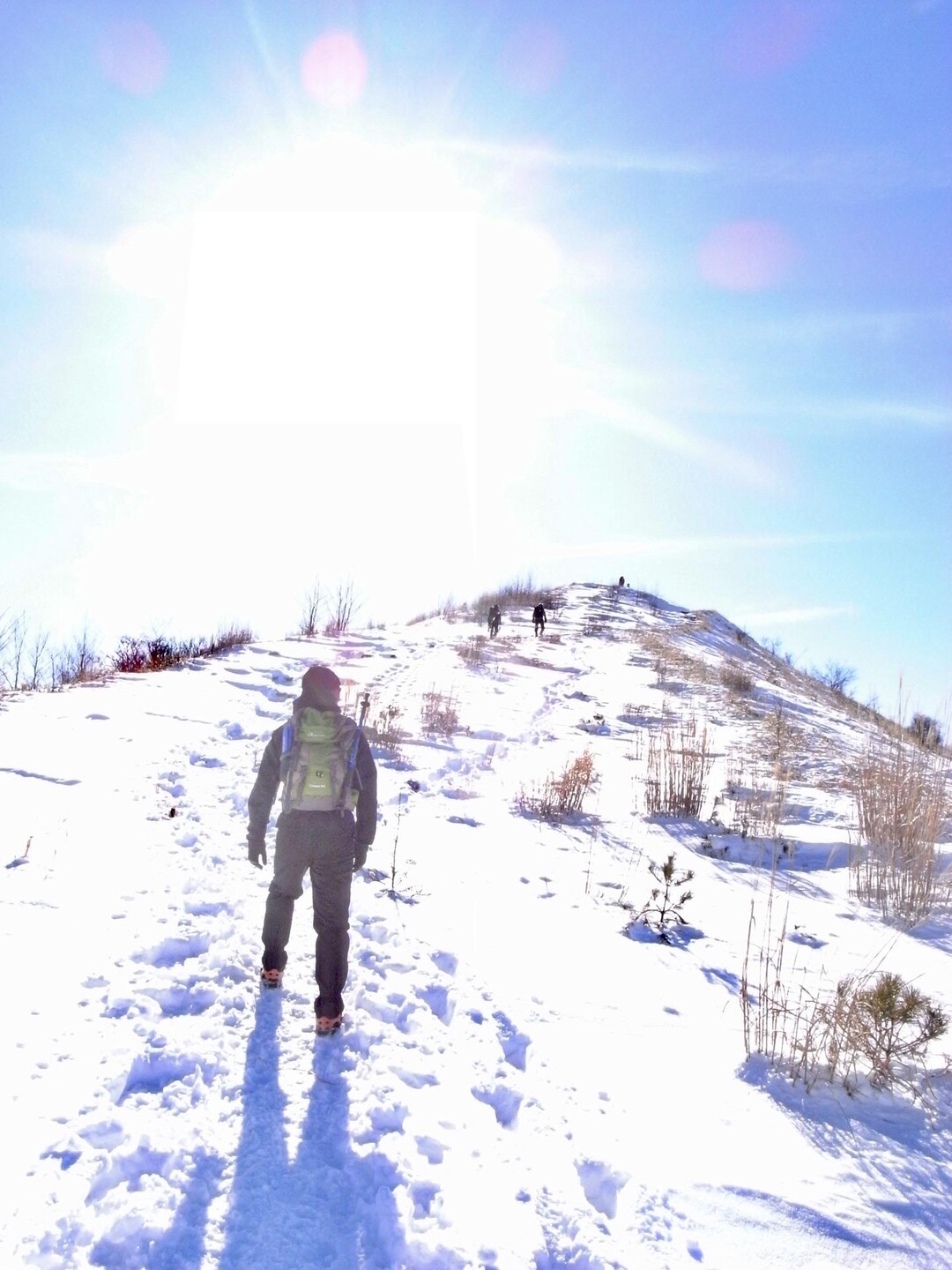 雪散歩。ゲン君とっ‼︎平沢山・大盛山・飯盛山 / oma1173さんの飯盛山の活動データ | YAMAP / ヤマップ