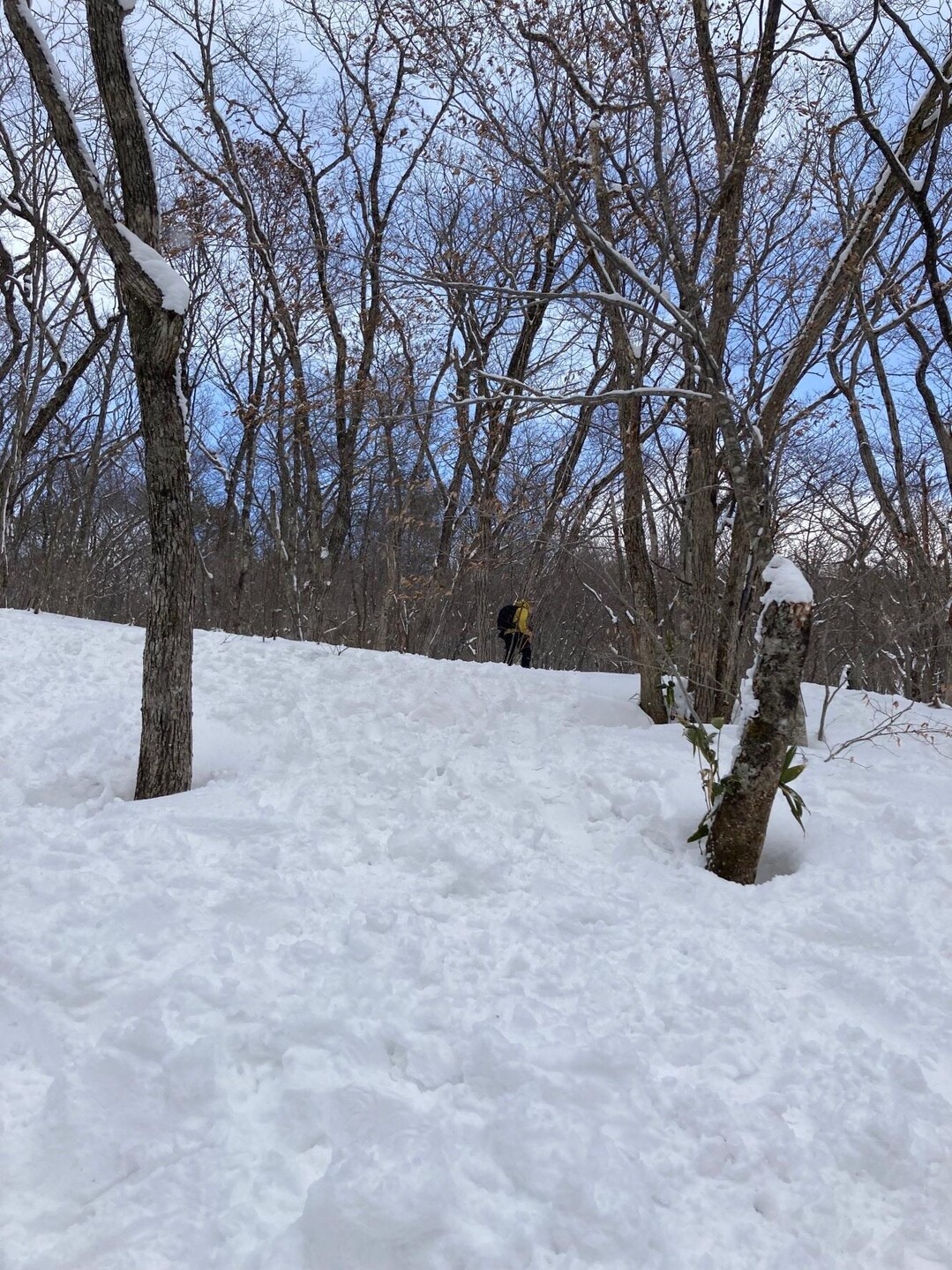 泉ヶ岳 / ak,snowさんの船形山（御所山）・泉ヶ岳・蛇ヶ岳の活動データ | YAMAP / ヤマップ