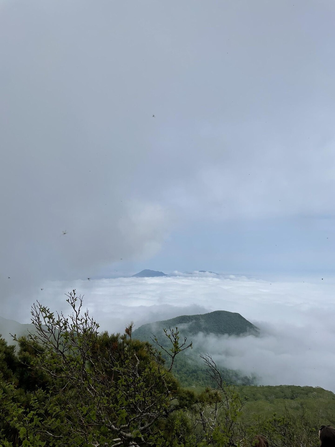 ホロホロ山 / rurutetuさんの徳舜瞥山・ホロホロ山の活動日記 | YAMAP / ヤマップ