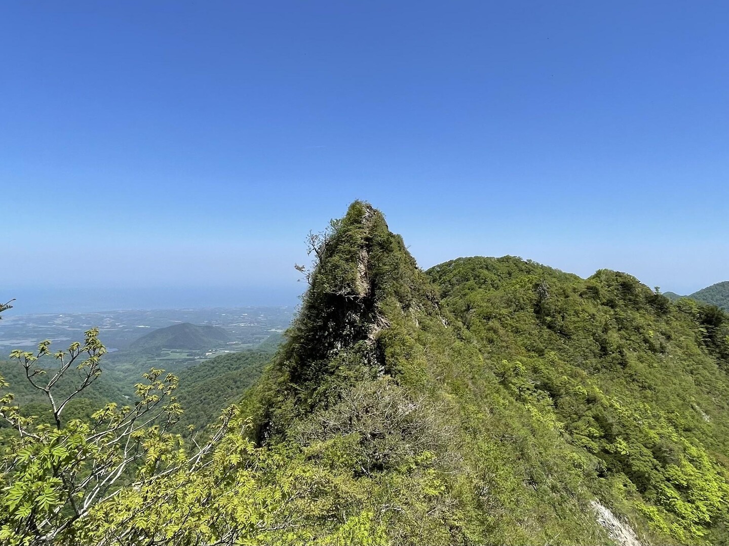 三鈷峰・象ヶ鼻・振子山・野田ヶ山 / なべ(ワンゲルOB)さんの大山・甲ヶ山・野田ヶ山の活動データ | YAMAP / ヤマップ