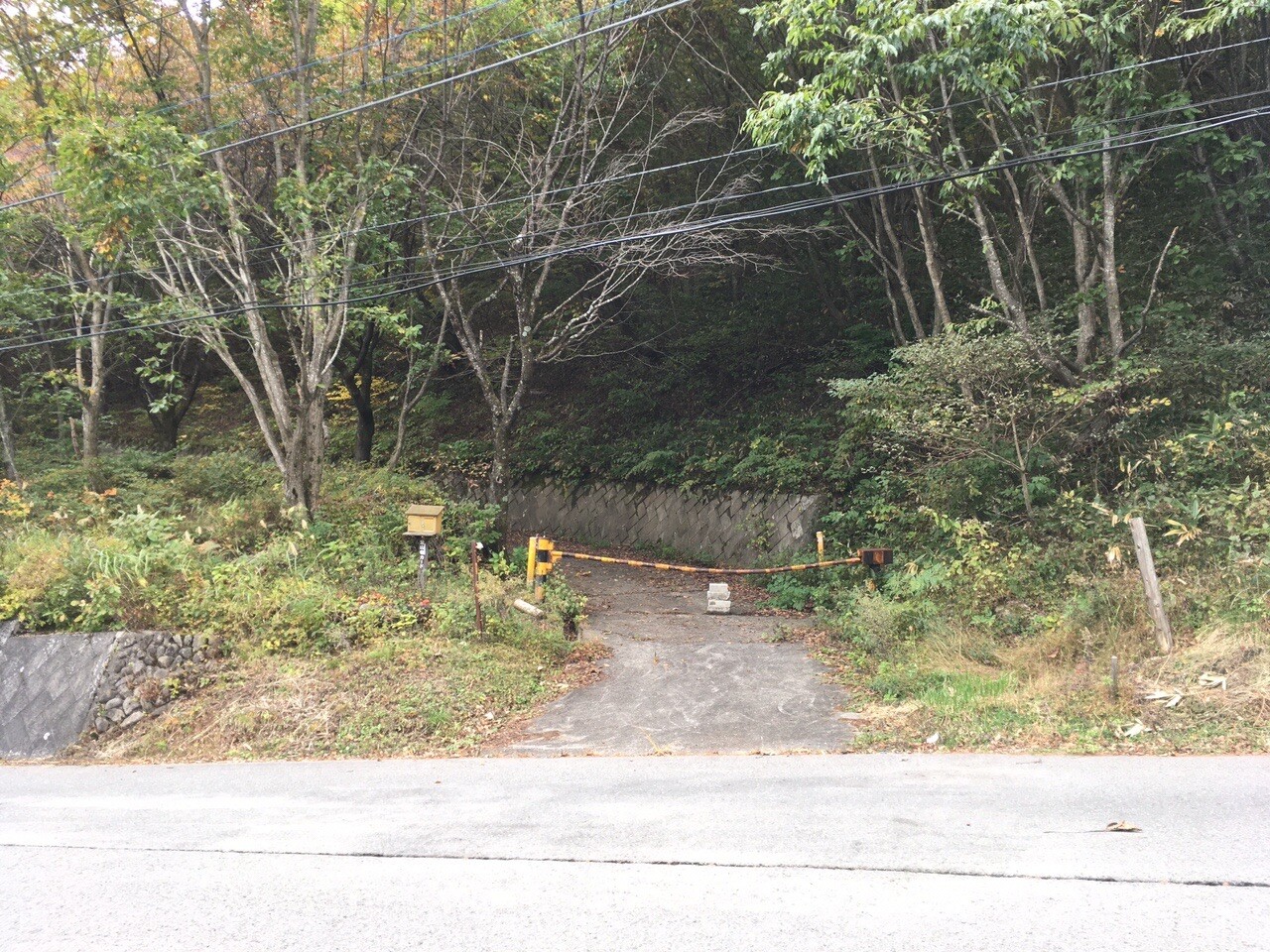 yuccoさんの投稿したフィールドメモ | YAMAP / ヤマップ