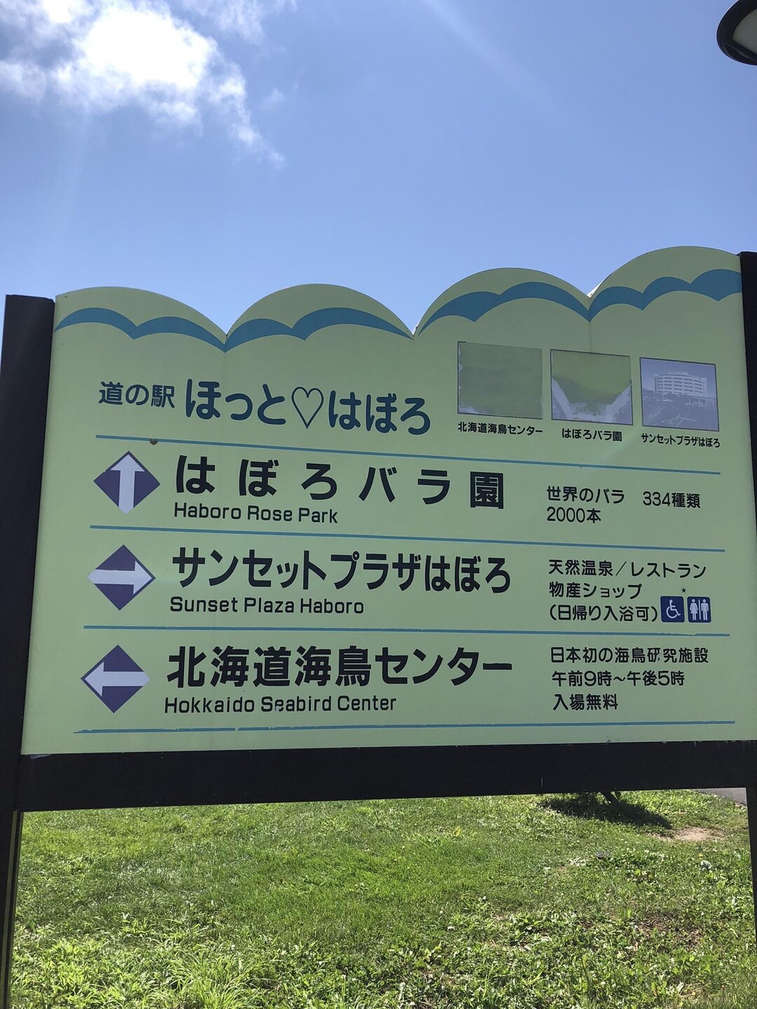 バラって10万種類 あんねん！ アンミカ... / kyonさんのモーメント | YAMAP / ヤマップ