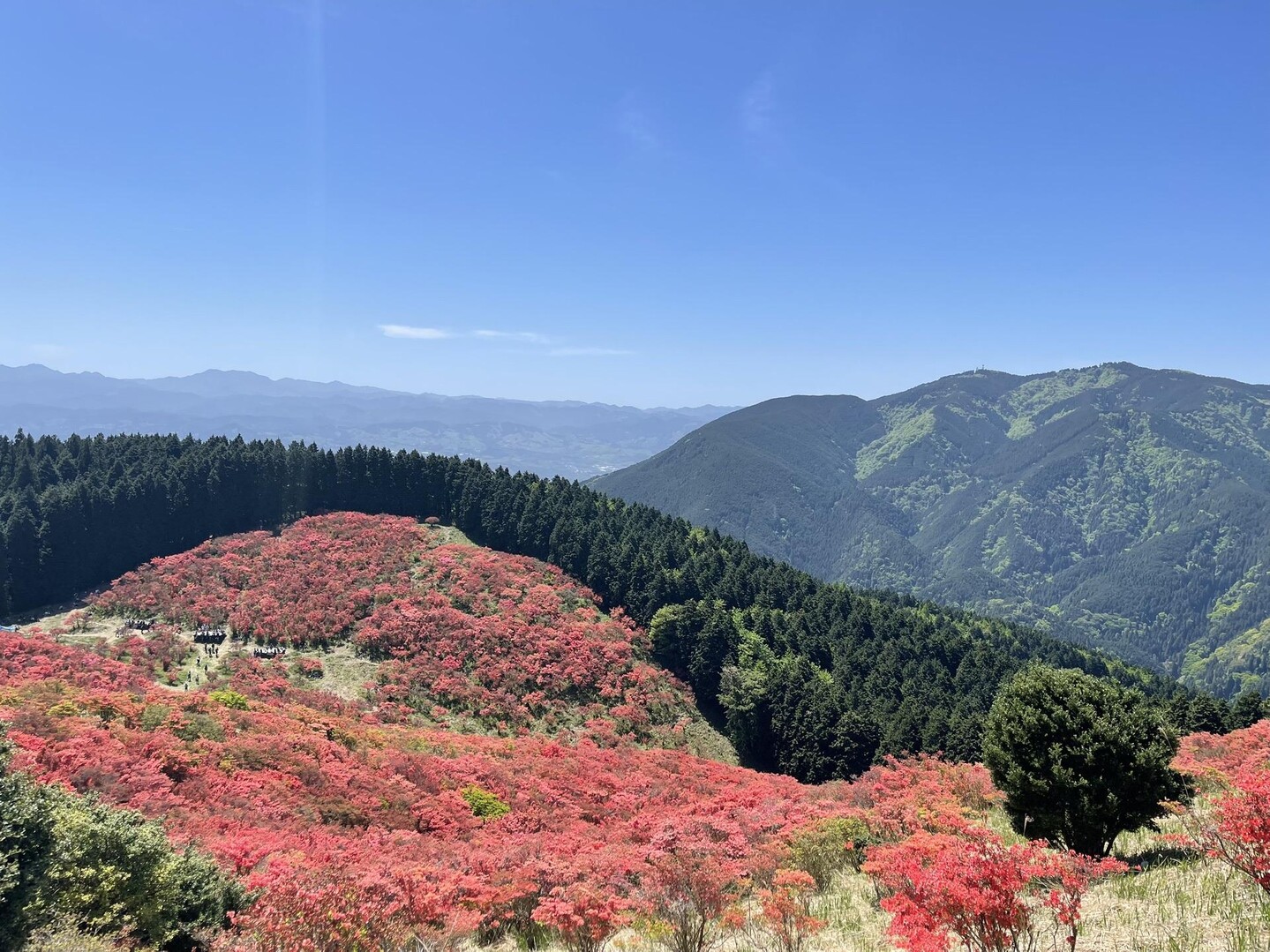 大和葛城山 / まさねえさんの金剛山・二上山・大和葛城山の活動日記 | YAMAP / ヤマップ