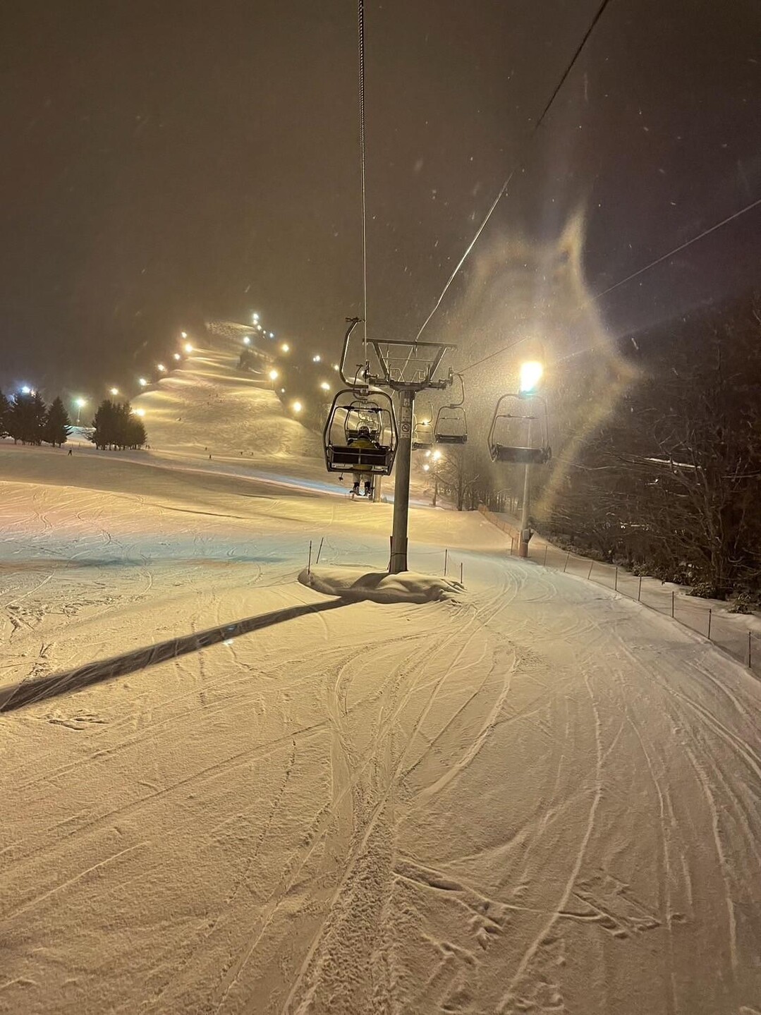 Fu's snow areaの18時～... / さとさんのモーメント | YAMAP / ヤマップ