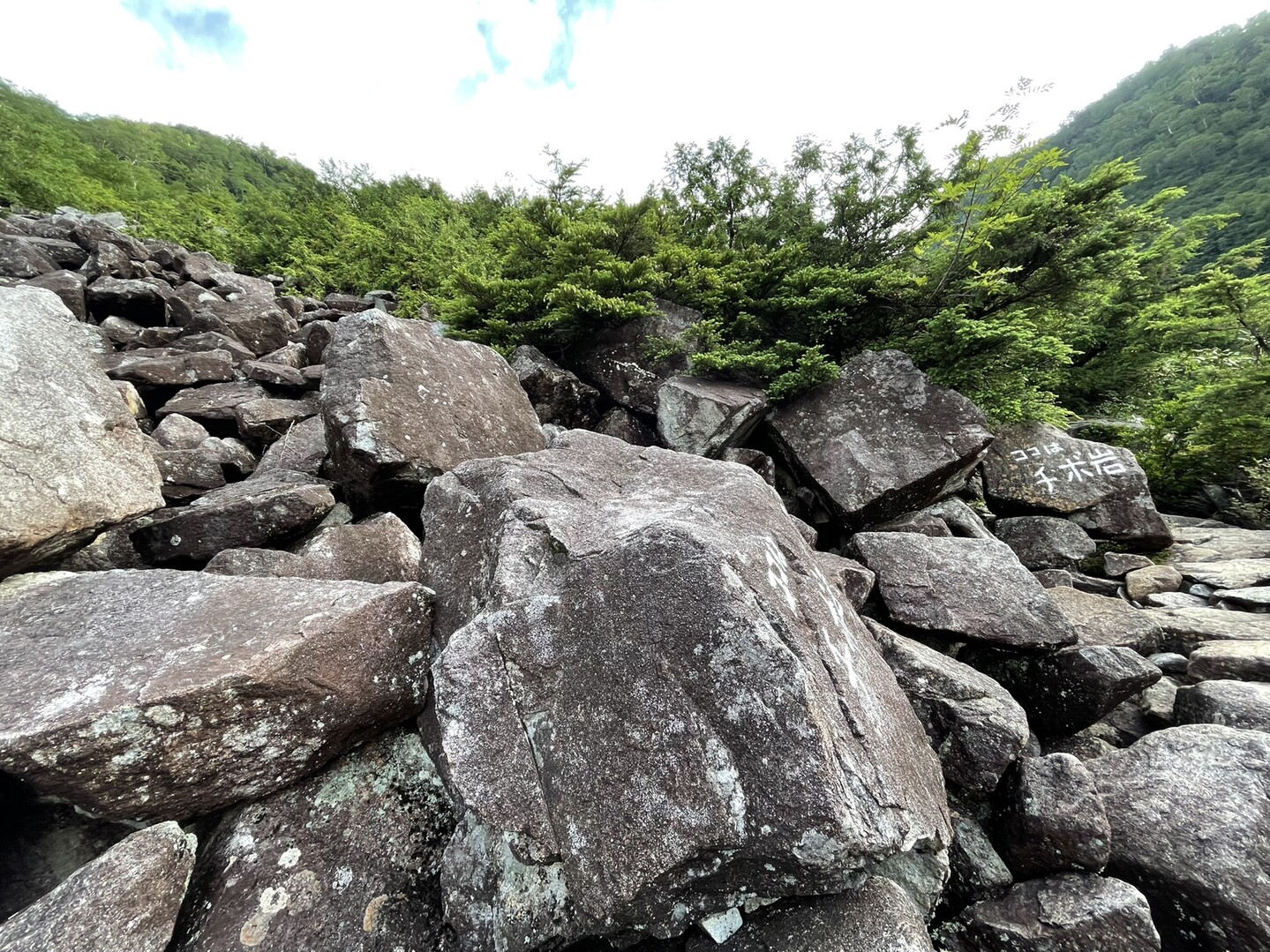 podoryさんの投稿したフィールドメモ | YAMAP / ヤマップ