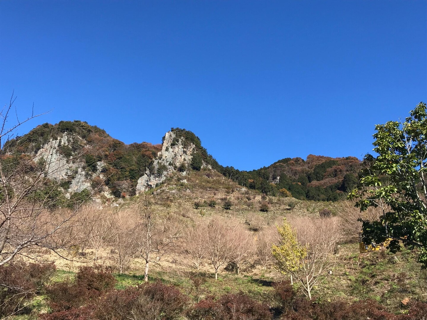 坊主山 / midoriさんの古賀志山・赤岩山・鞍掛山・男抱山・半蔵山の活動データ | YAMAP / ヤマップ