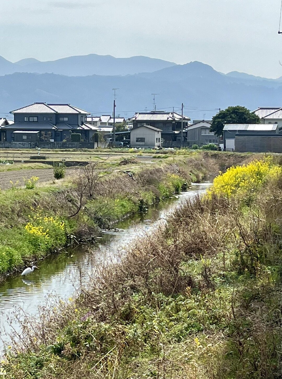 本日は晴れていますが、黄砂と花粉とPM2... / leoleonさんのモーメント | YAMAP / ヤマップ