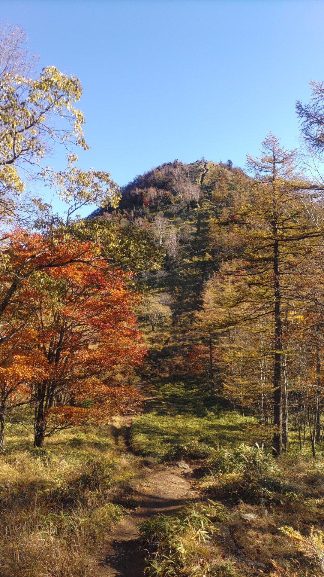 笠取山 / fumiさんの和名倉山・笠取山・東仙波の活動データ | YAMAP / ヤマップ