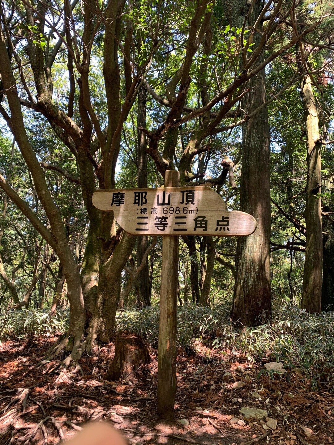 5.24 ハイキング下見 摩耶山・掬星台 / hikkyさんの六甲山・長峰山・摩耶山の活動データ | YAMAP / ヤマップ