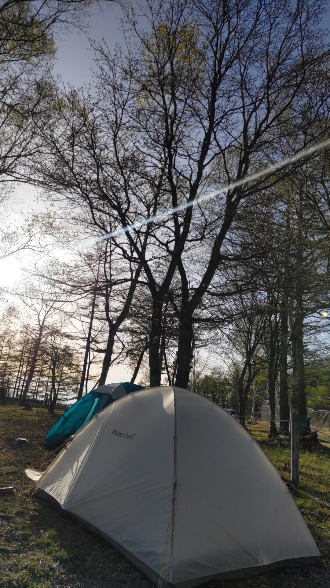 GW後半は甘利山と千頭星山でした。 こん... / 響（ゆら）さんのモーメント | YAMAP / ヤマップ