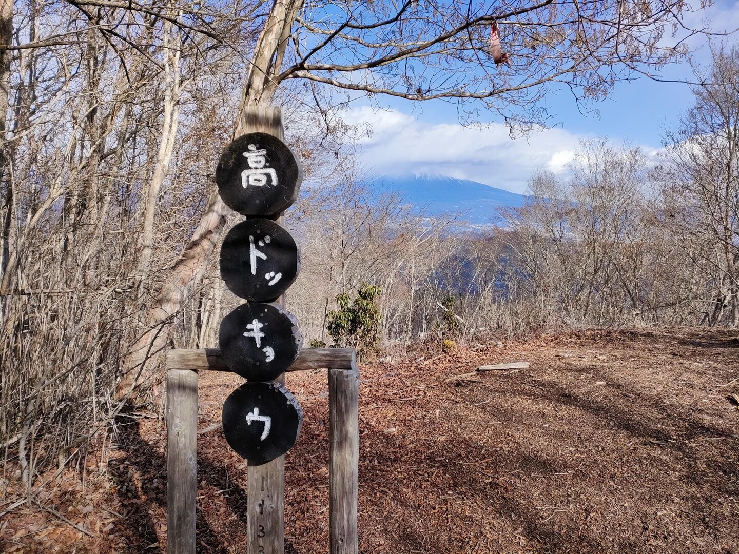 高ドッキョウ / Qooさんの貫ヶ岳・高ドッキョウの活動データ | YAMAP / ヤマップ