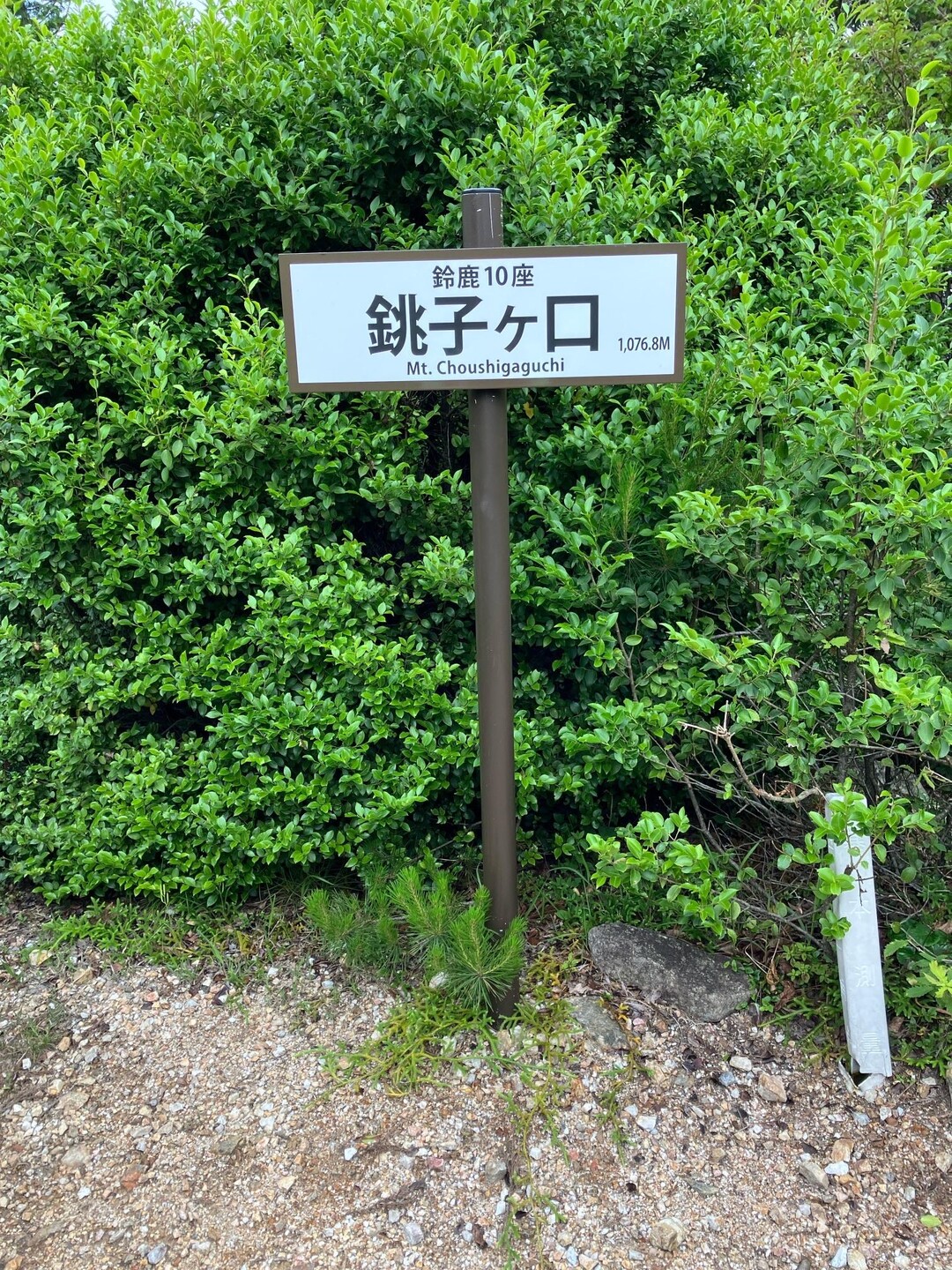 長尾山・銚子ヶ口東嶺・銚子ヶ口 / おっくんですけどさんの日本コバの活動データ | YAMAP / ヤマップ