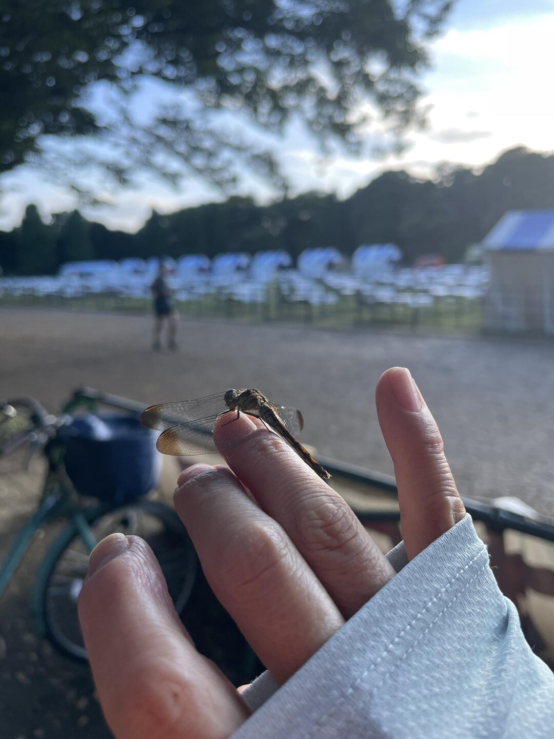 ランニング途中でスマホ取り出した手に い... / yukodamaさんのモーメント | YAMAP / ヤマップ