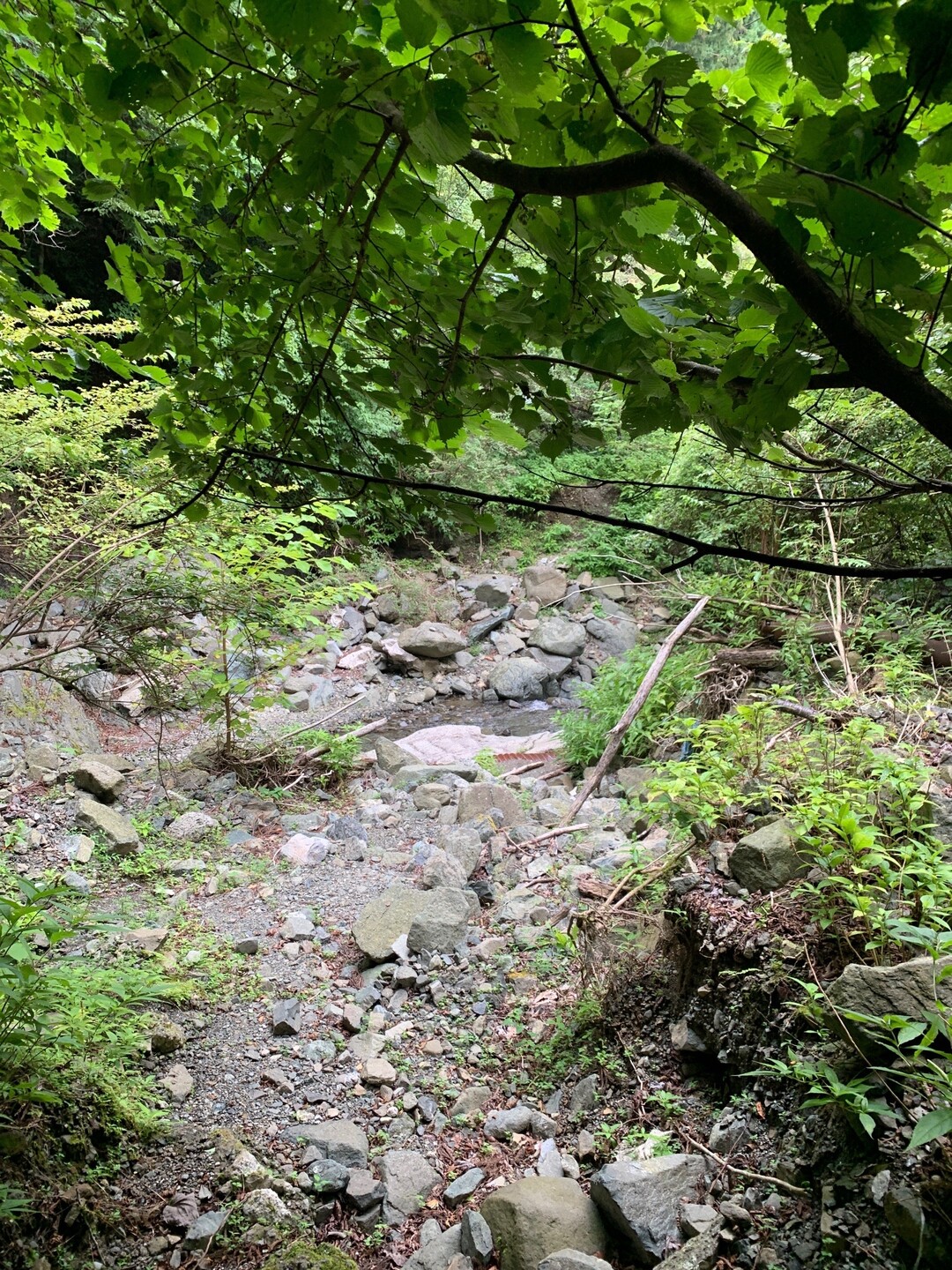 HIDEさんの投稿したフィールドメモ | YAMAP / ヤマップ