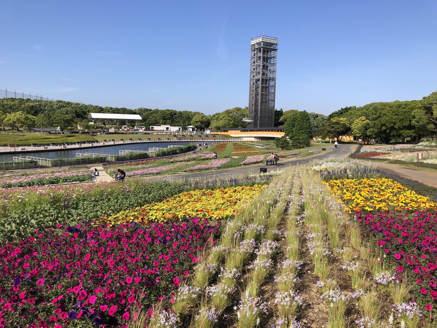 「浜名湖花博・ガーデンパーク」 / zaucatsさんのウォーキングの活動データ | YAMAP / ヤマップ