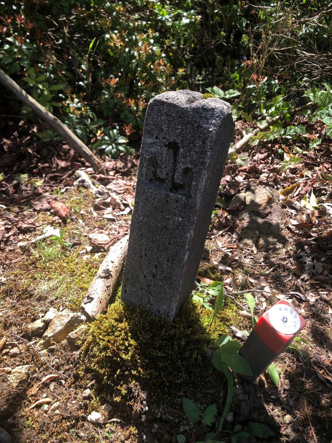 GWの雪彦山 / Hiroさんの雪彦山の活動データ | YAMAP / ヤマップ