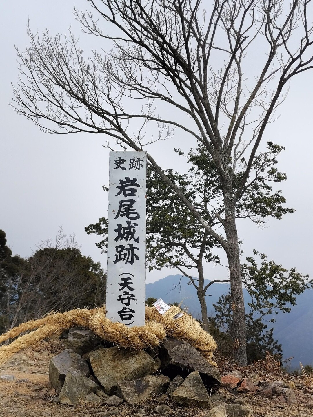 ソロ208 蛇山 / J.BOYさんの石金山・イタリ山・浅香山の活動日記 | YAMAP / ヤマップ