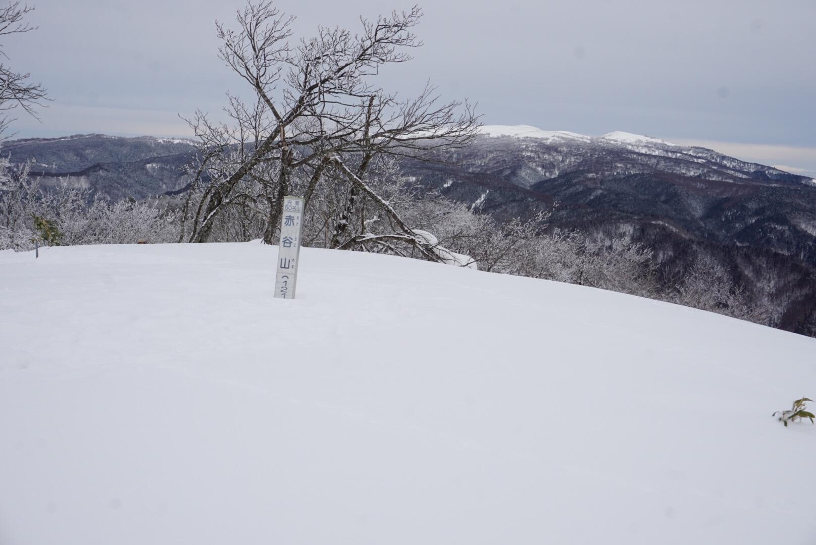 赤谷山スノーハイク ️ / めいじんさんの赤谷山の活動日記 | YAMAP / ヤマップ