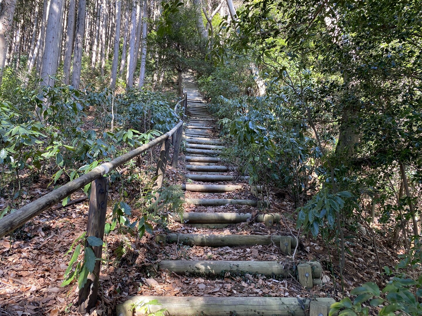 悠汰さんの投稿したフィールドメモ | YAMAP / ヤマップ