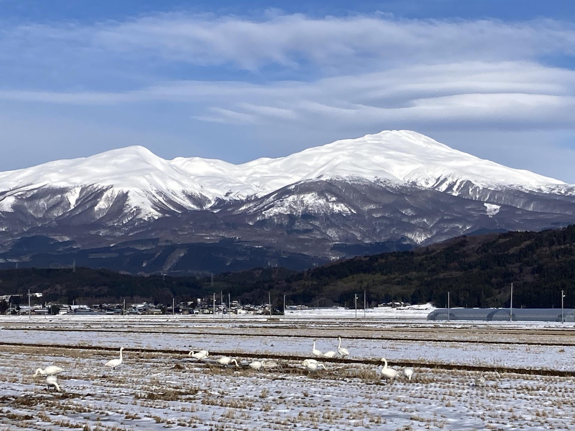 久々にてっぺんまで顔を出してくれた鳥海山... / わぎっちょRさんのモーメント | YAMAP / ヤマップ