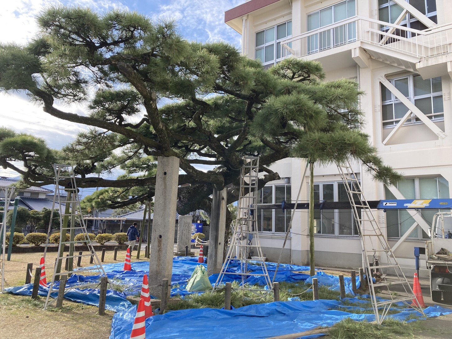 阿波の旧一宇村の巨樹王国の自然の天然の ... / HRKさんのモーメント | YAMAP / ヤマップ