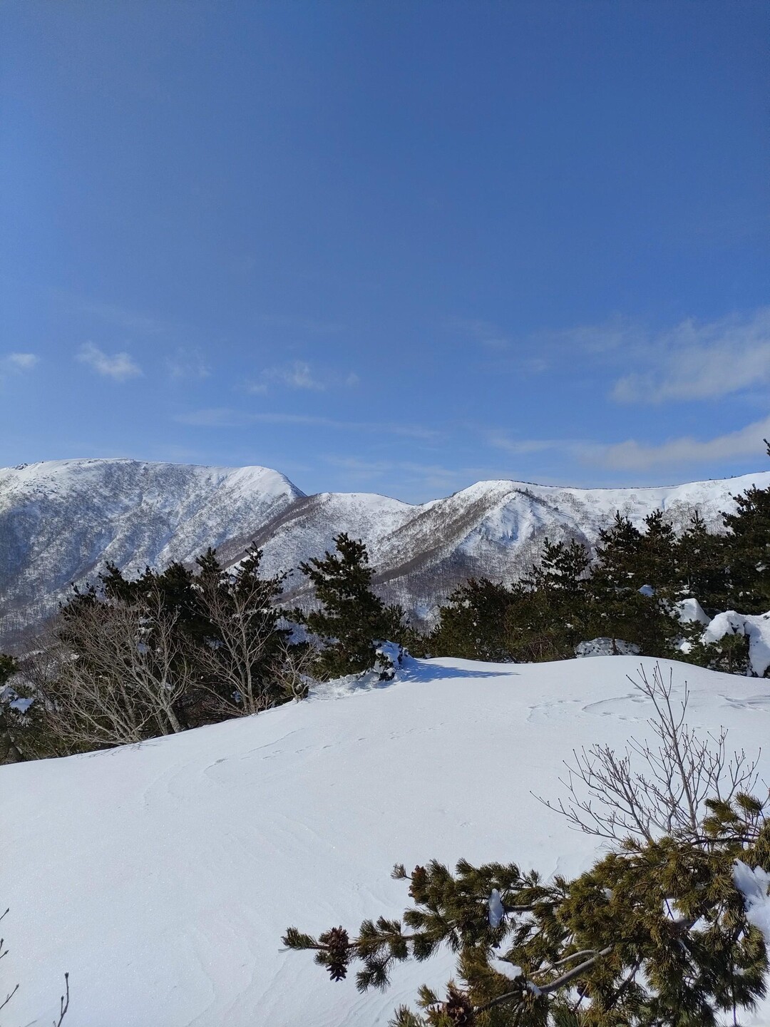 森林で限界を迎えた安達太良山ー仙女平 / ukeyさんの安達太良山・箕輪山・鬼面山の活動データ | YAMAP / ヤマップ