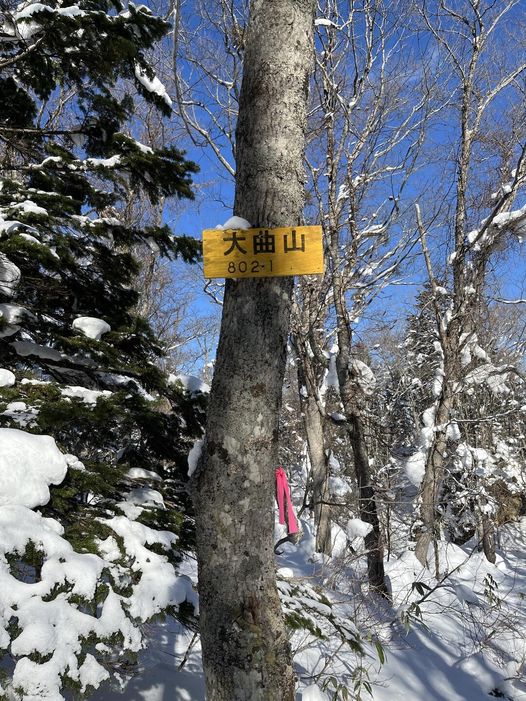 まったり800m峰・大曲山 ️`→🐕？😂 / りったんさんの札幌岳・空沼岳の活動データ | YAMAP / ヤマップ