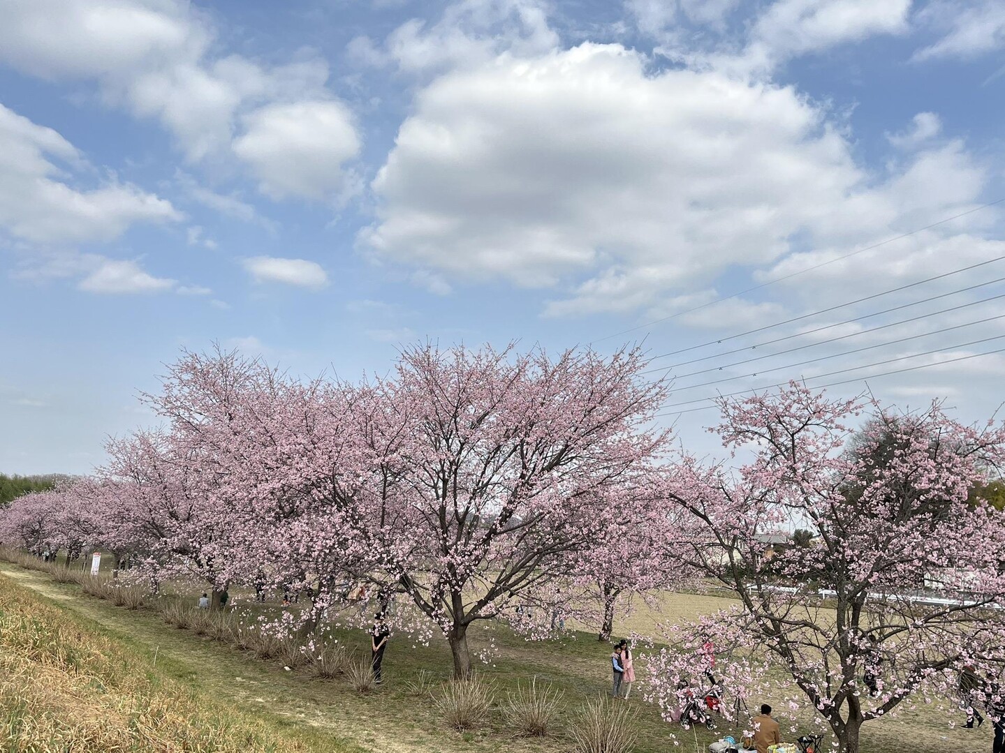 WBC観戦中失礼します〜 フォローさせて... / はるちゃんさんのモーメント | YAMAP / ヤマップ