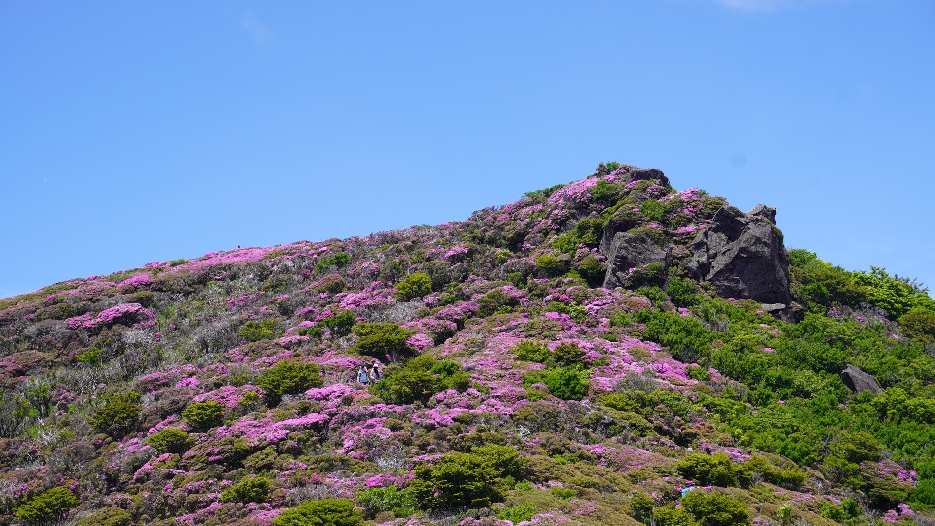 大船山・北大船山・平治岳 / inurfaさんの九重山（久住山）・大船山・星生山の活動データ | YAMAP / ヤマップ