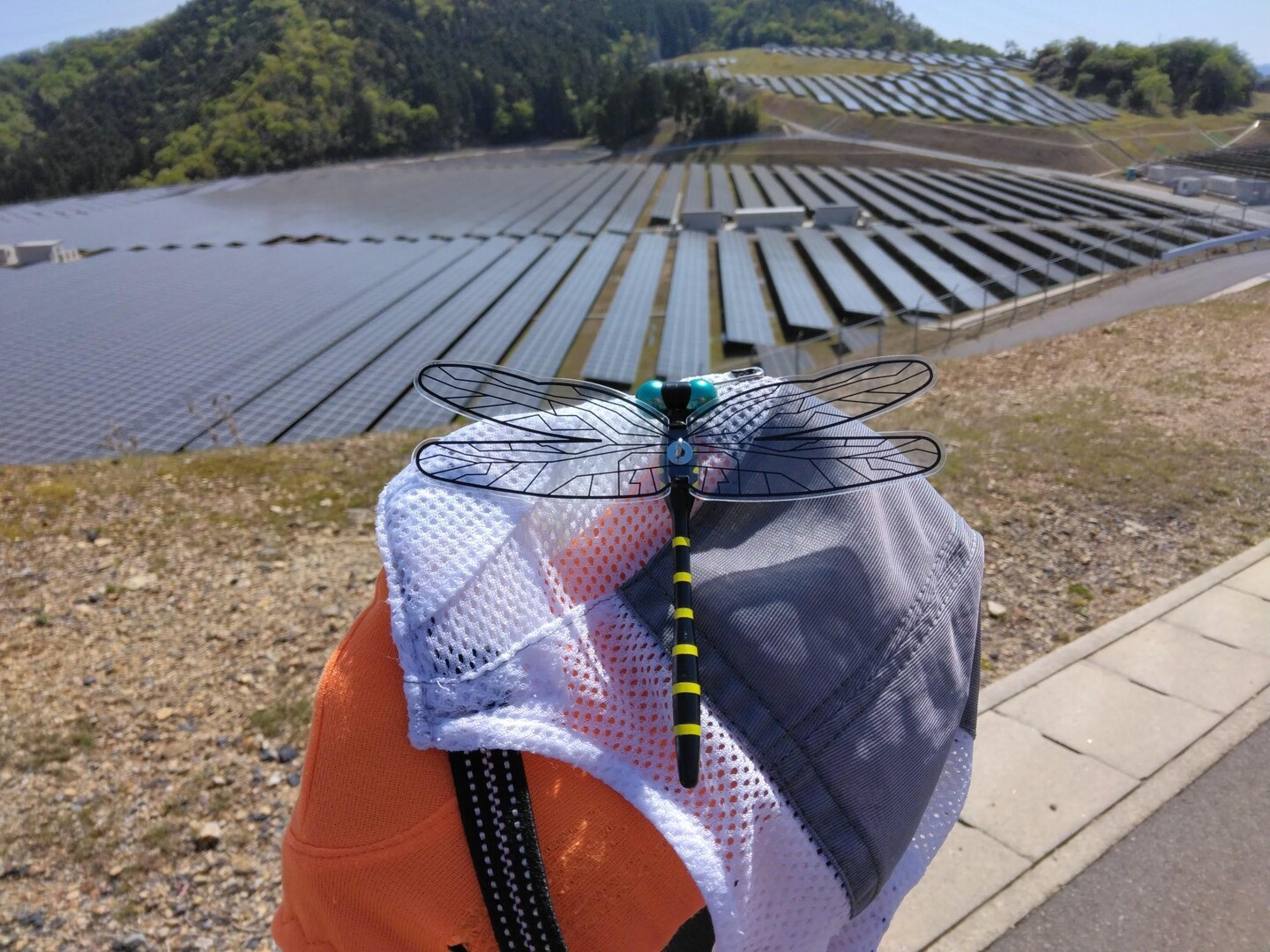 醍醐山・高塚山 / piroさんの京都一周トレイルの活動データ | YAMAP / ヤマップ