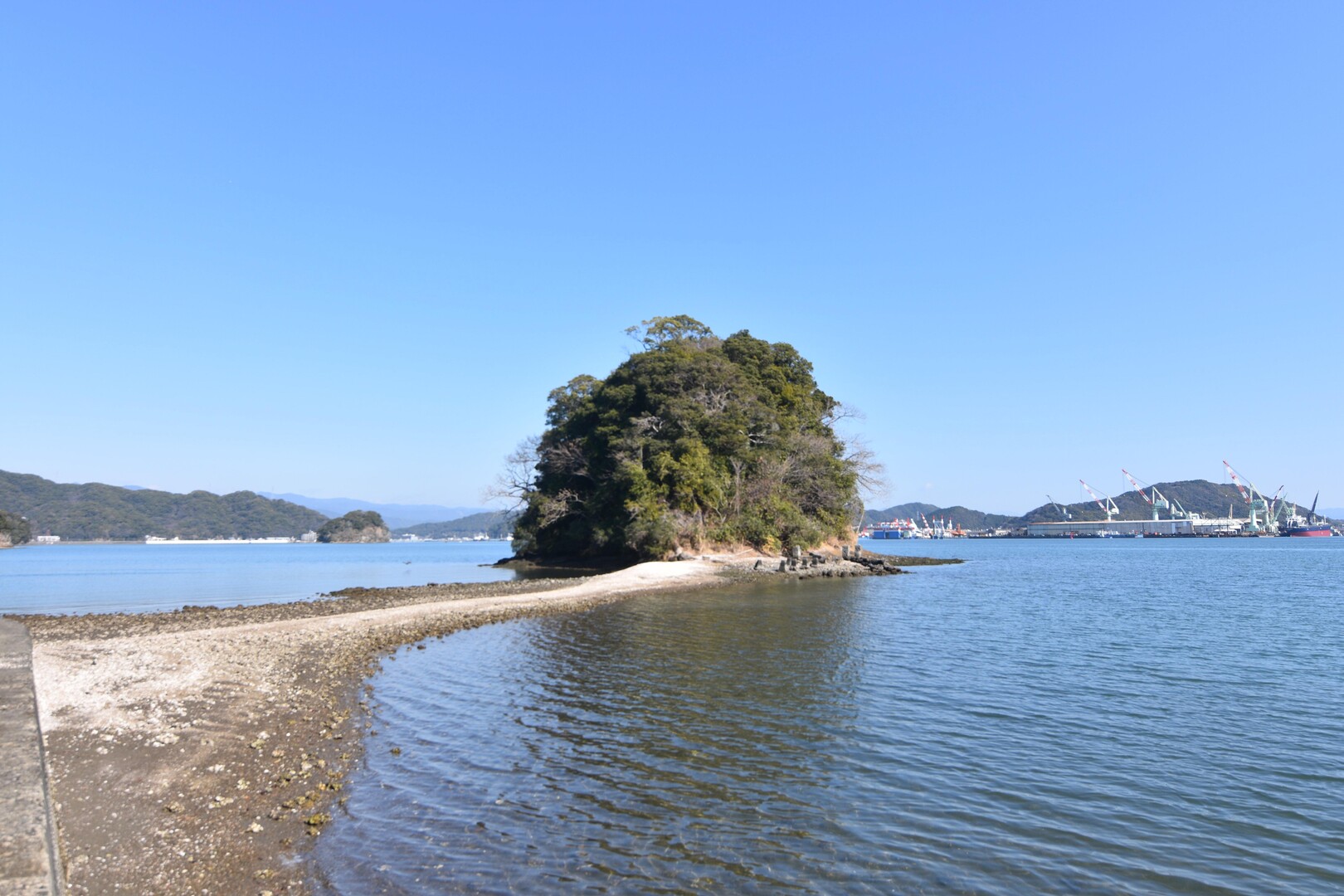 真・高知県の最低峰 ゴウシ山 / ジュッピーさんの高知市の活動データ | YAMAP / ヤマップ