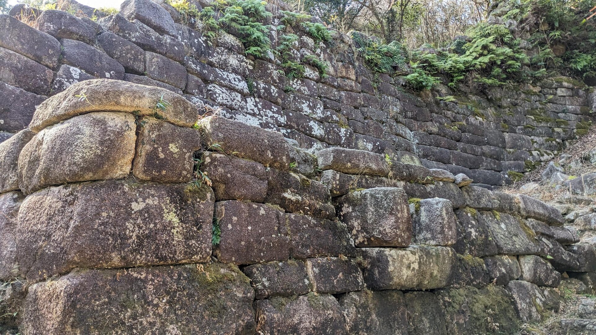 御所ヶ岳〜馬ヶ岳 なんちゃって縦走 / tonnoさんの馬ヶ岳の活動データ | YAMAP / ヤマップ