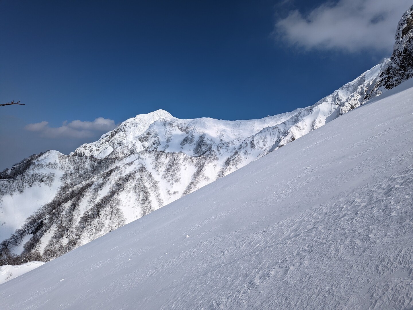 大山七合尾根 烏帽子岩 バックカントリー / りょうさんの大山・甲ヶ山・野田ヶ山の活動データ | YAMAP / ヤマップ