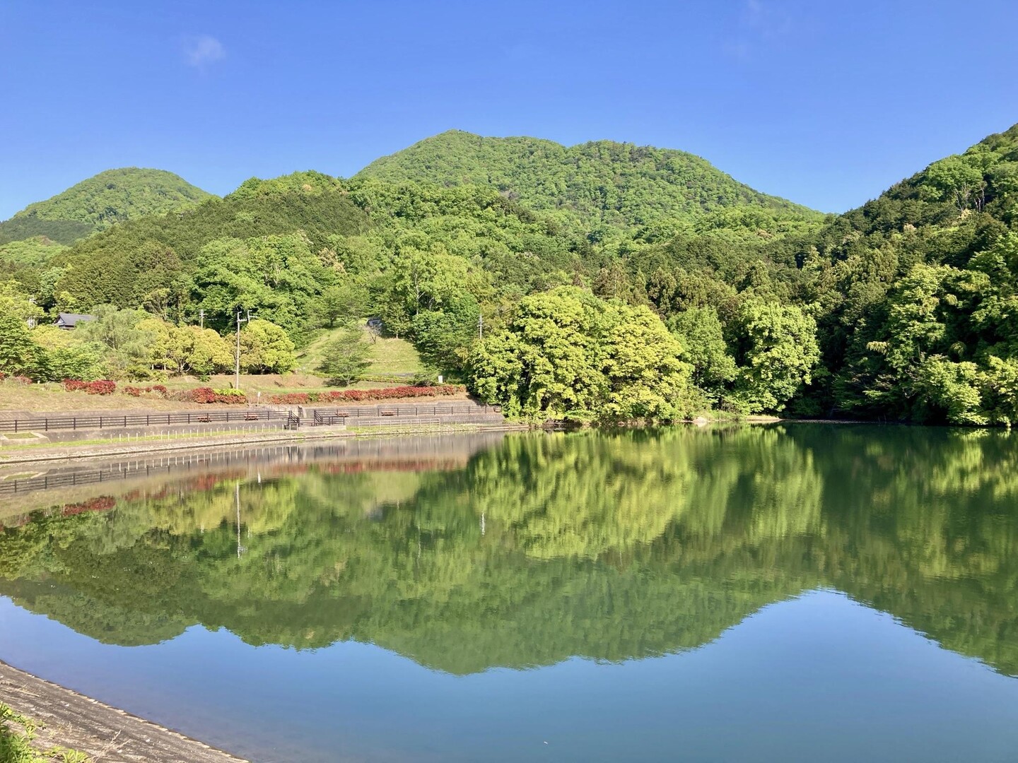 二上山周回 / K2さんの金剛山・二上山・大和葛城山の活動データ | YAMAP / ヤマップ