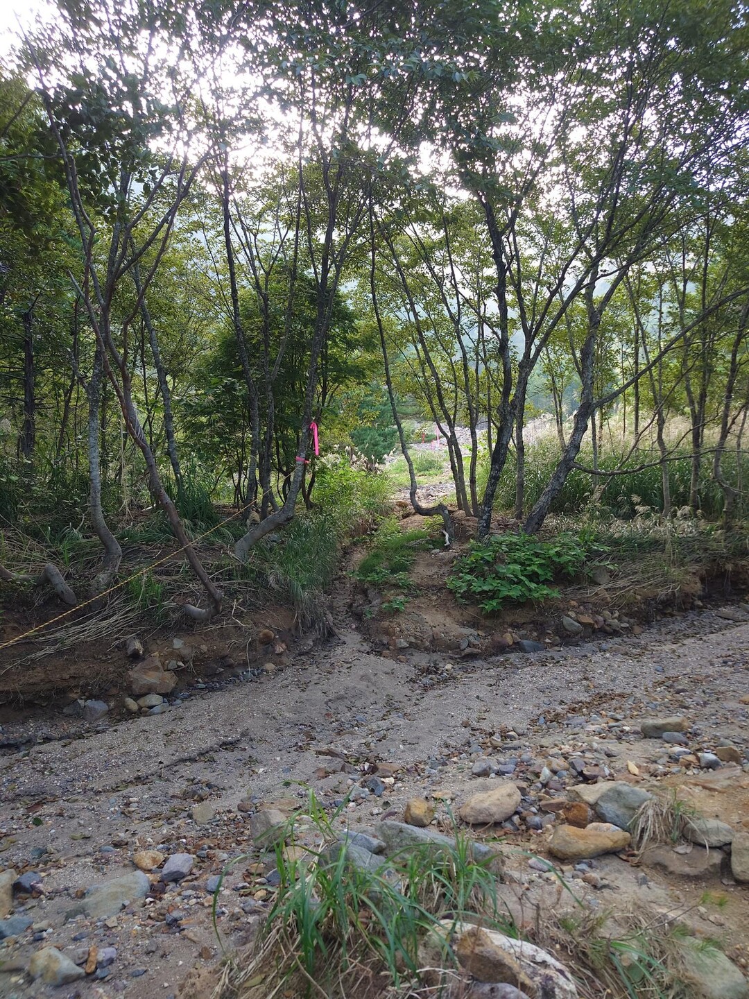 POKAさんの投稿したフィールドメモ | YAMAP / ヤマップ