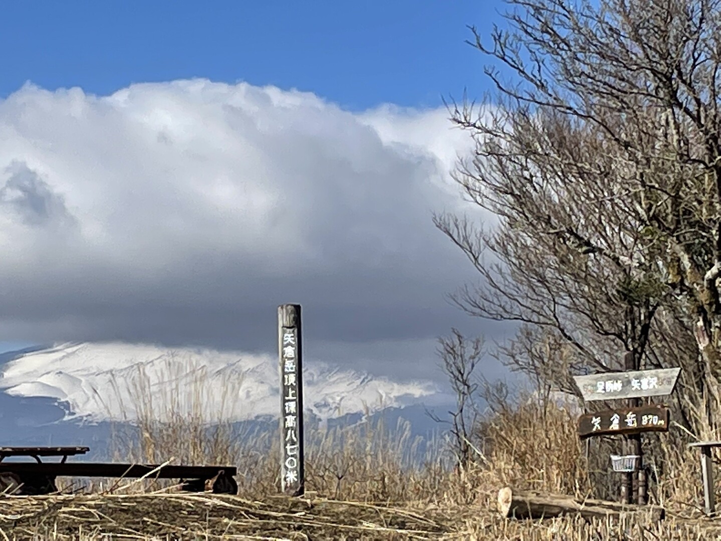 矢倉岳-2022-01-16 / Ryo-Ryoさんの登山の活動データ | YAMAP / ヤマップ