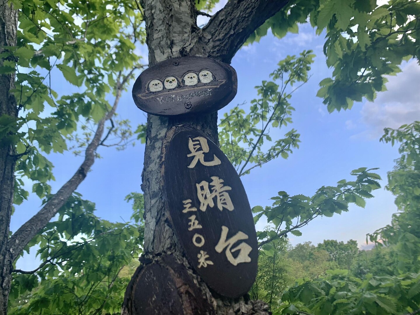5日目の藻岩は旭山記念公園から⛰#6 / myq.さんの藻岩山の活動データ | YAMAP / ヤマップ