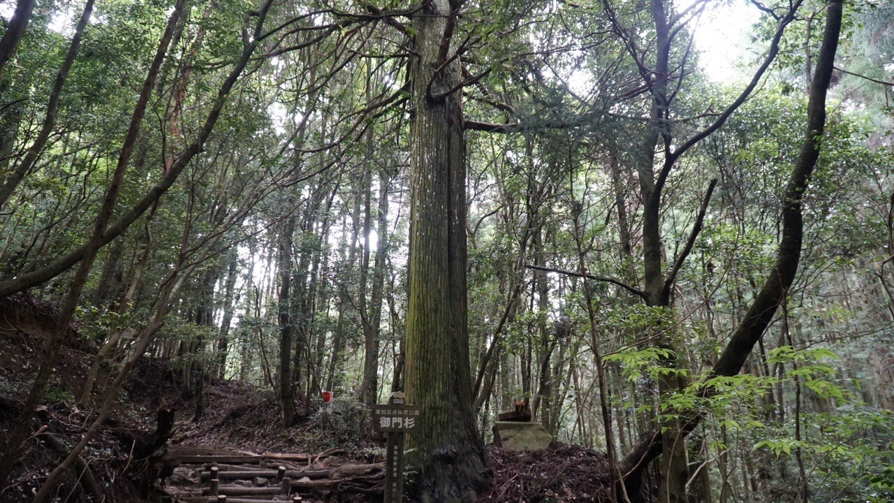 猿投山 / Yoshi.Kさんの猿投山・物見山の活動データ | YAMAP / ヤマップ