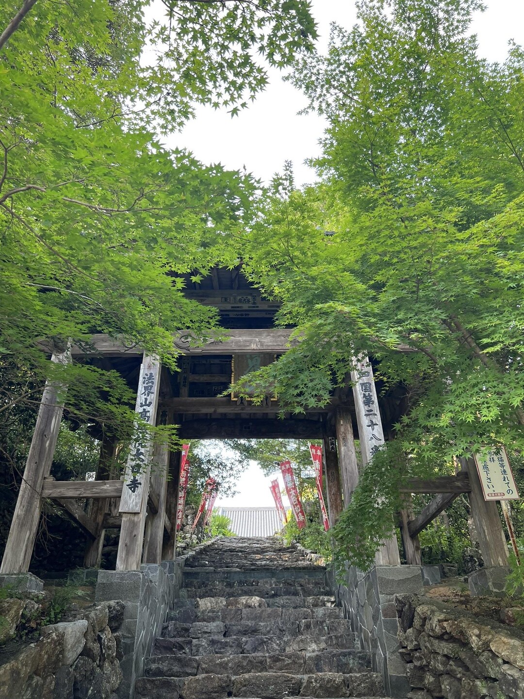 R4、10、9 いつもありがとうございま... / 桔梗巡礼パパさんのモーメント | YAMAP / ヤマップ