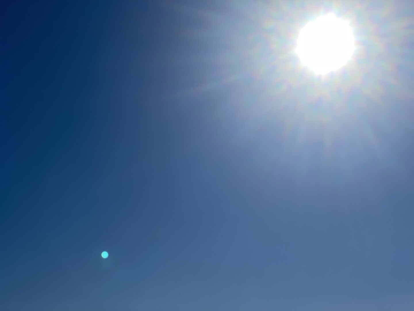 ランニング10km &ハーフマラソンPB / ましゃんさんの宇都宮市の活動データ | YAMAP / ヤマップ