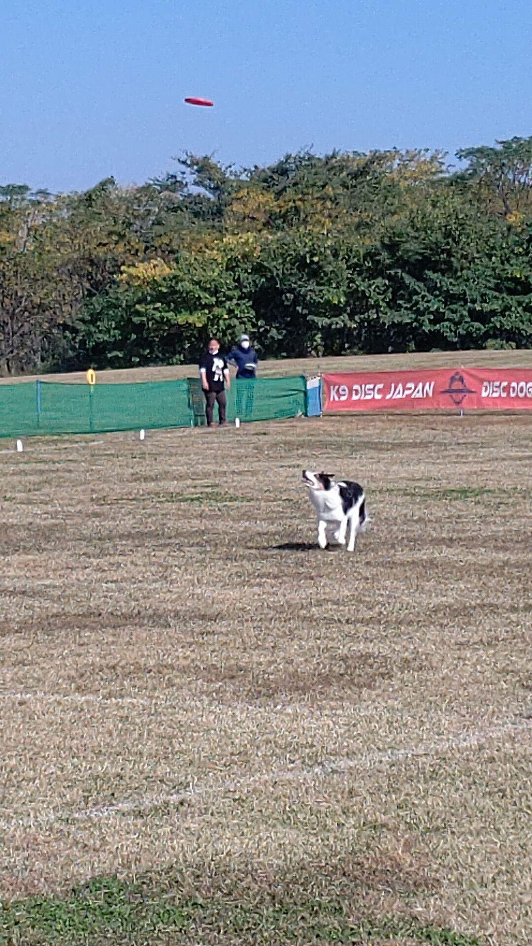 今日のネイチャープラザ😀 ディスクドッ... / kouchanさんのモーメント | YAMAP / ヤマップ